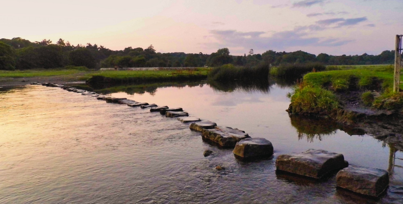 Systemic change in SAGE Athena Swan | SAGE