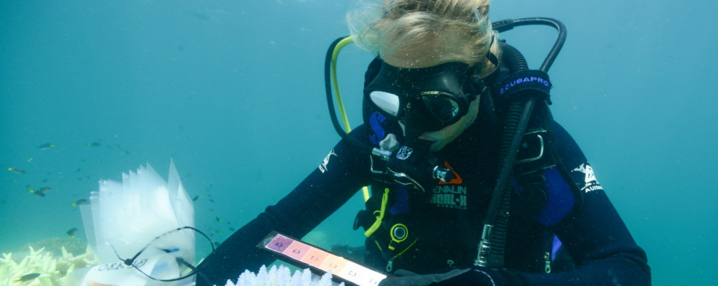 "An extremely flexible working environment": AIMS earns Cygnet Award | SAGE